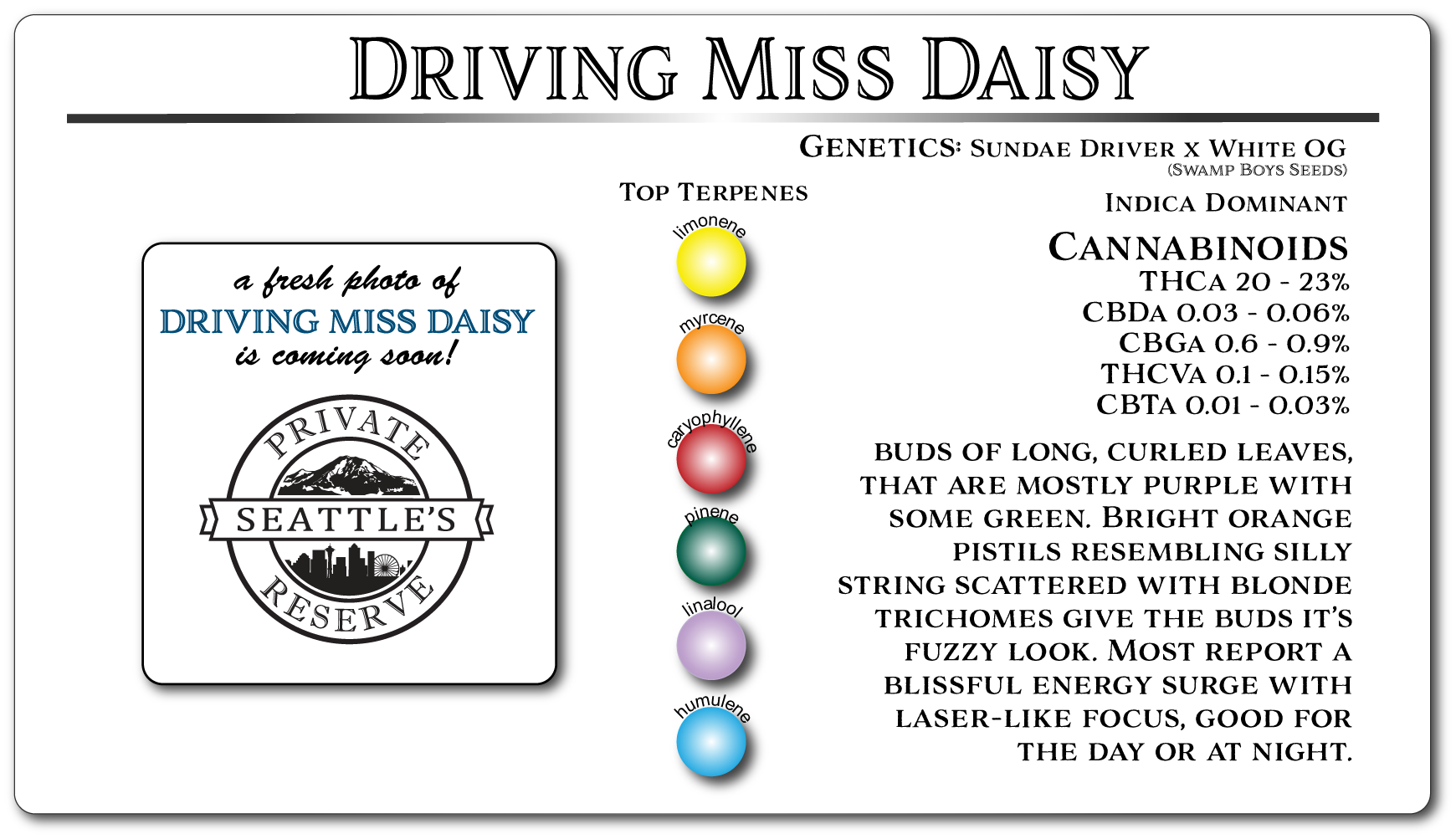 Flowers – Seattle's Private Reserve